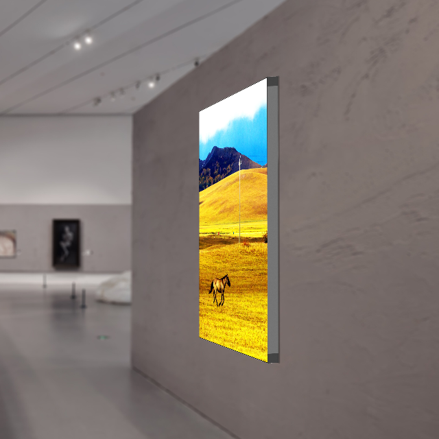 Portabale Wall Mounted BOSS Light LED Lightbox Display from China manufacturer - 东华DH Display